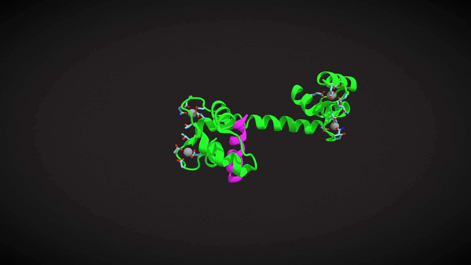 Calmodulin Binding a Peptide - Animation - Download Free 3D model by ...