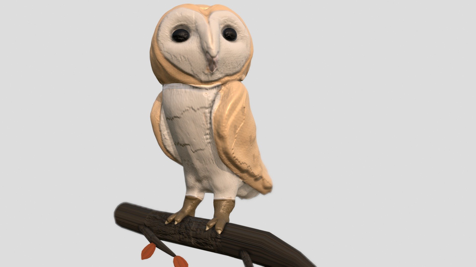Barn Owl "Barny" (University Project) - Download Free 3D model by Harri ...