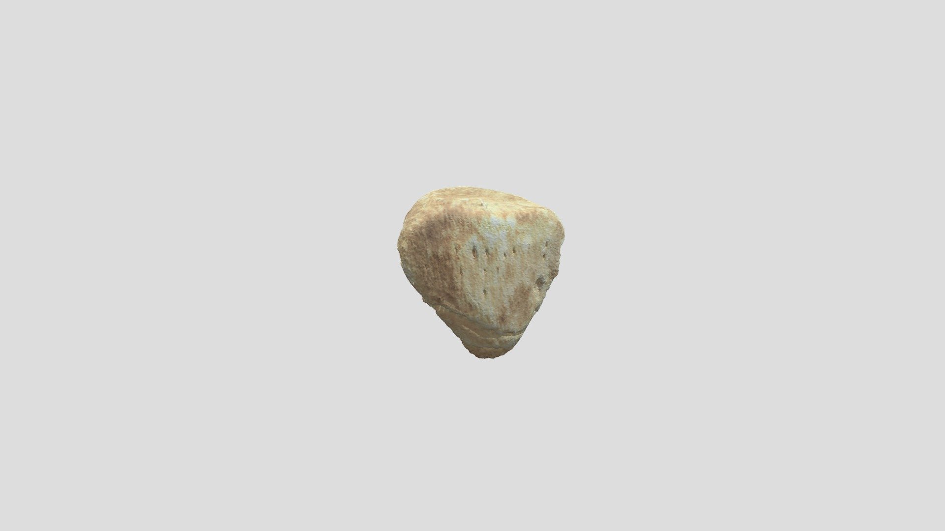 Patella - 3D model by kucharm [48f2872] - Sketchfab