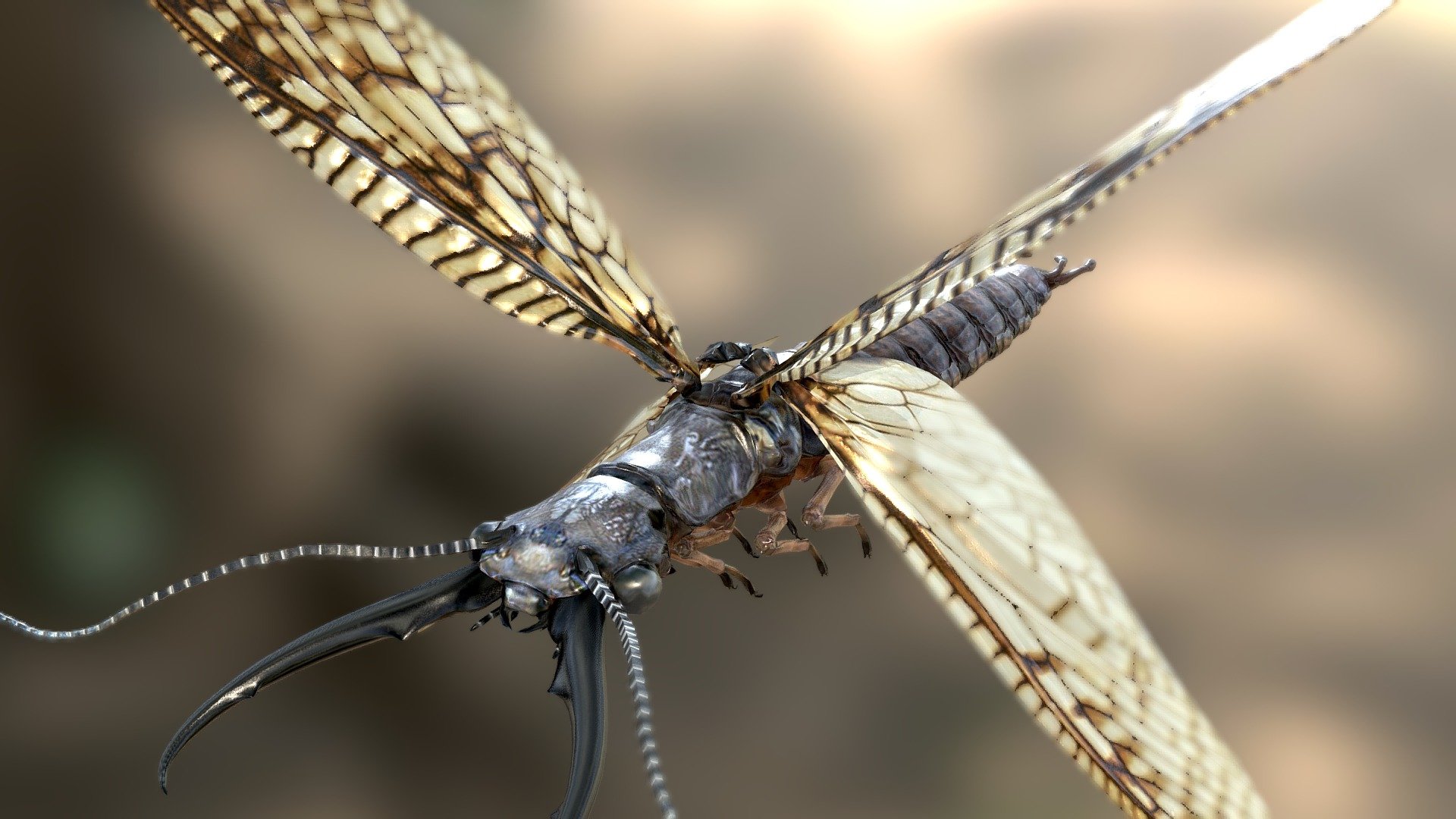 Corydalus cornutus -DobsonFly- - Buy Royalty Free 3D model by Boycraft ...