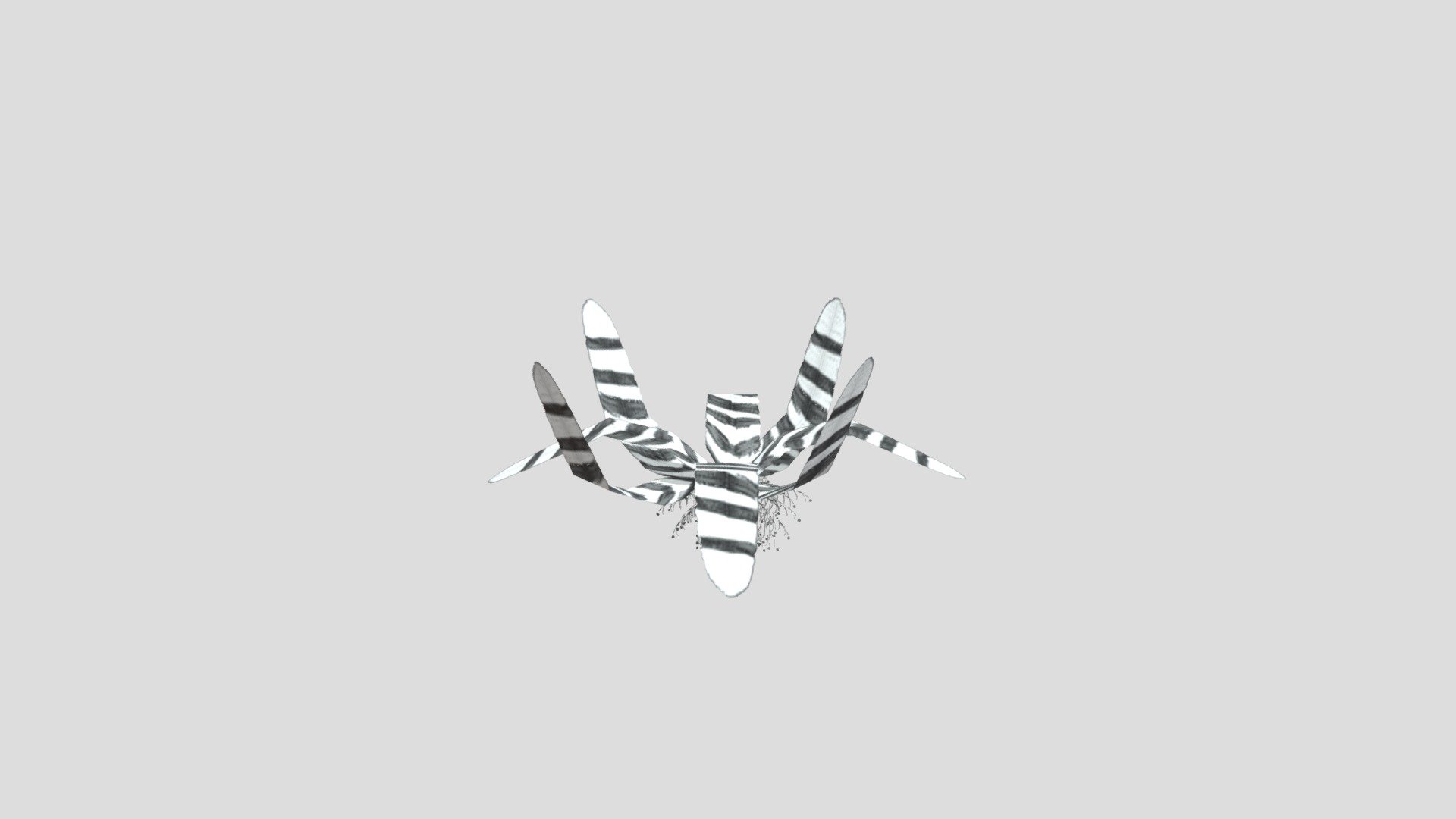 Feather star - 3D model by luis.afre85 [48f7e32] - Sketchfab