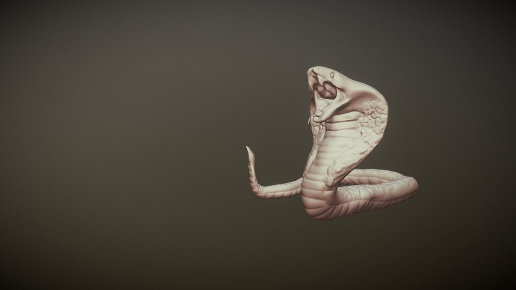 Cobra - 3D model by tylerspaulding [48f8917] - Sketchfab