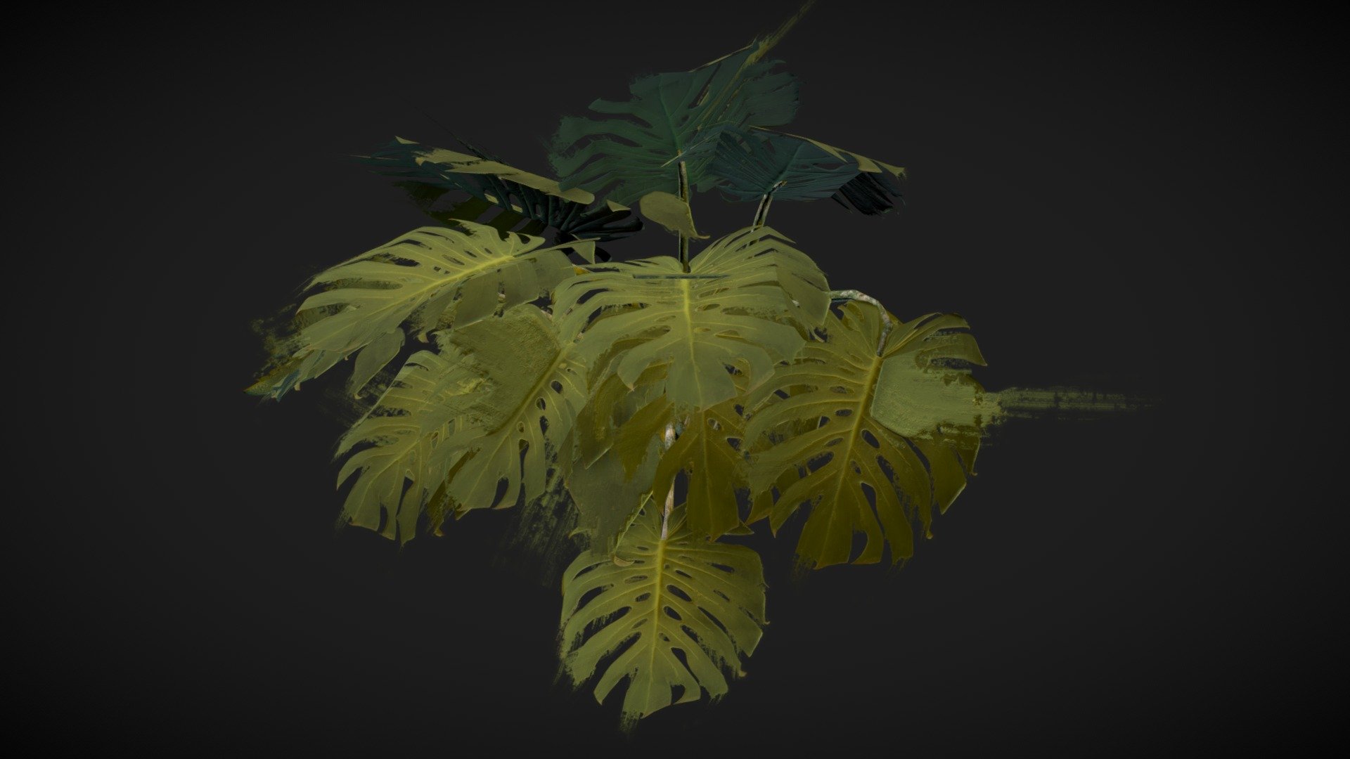 Monstera Deliciosa - 3D model by Gabriel.Nadotti [48f95ea] - Sketchfab