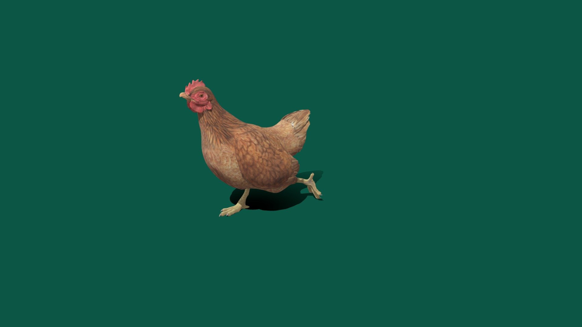 Chicken - 3D model by Nyilonelycompany [49031be] - Sketchfab