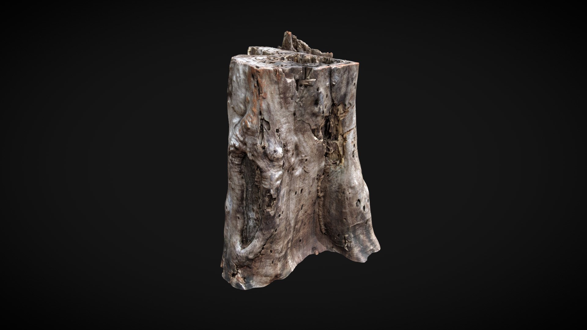 Stump Proyecto Final - 3D model by JANR3D (@janr3d6383) [4921d00 ...