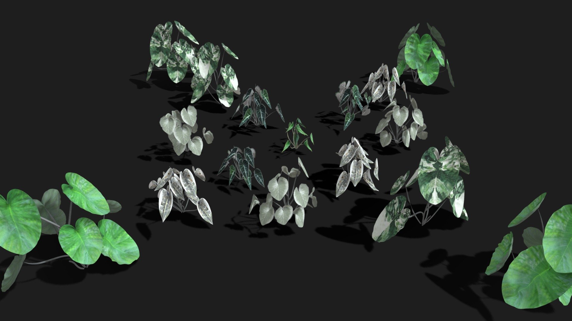 Vegetation - Download Free 3D model by local.yany [49225bf] - Sketchfab