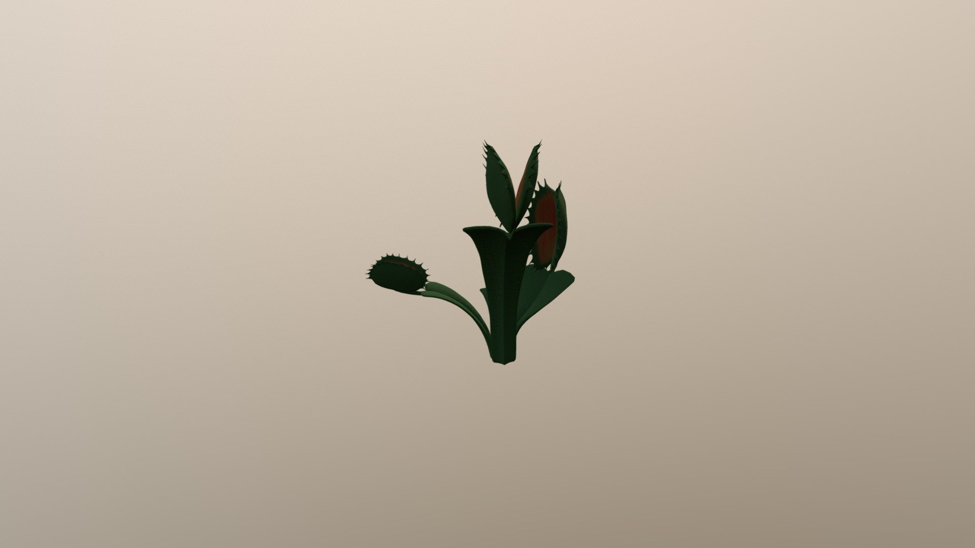 Venus Fly Trap - 3D model by enricoleasa [492e087] - Sketchfab