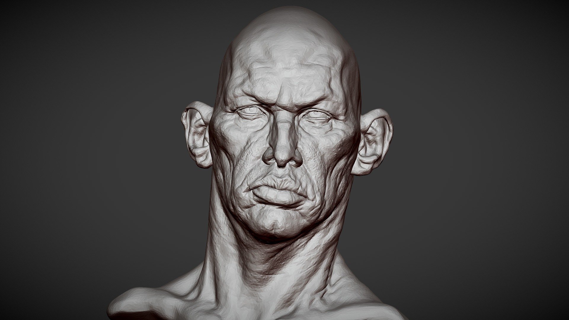 Head 1 from Heads Bundle 2 - 3D model by Steffen Hartmann (@hartmann ...