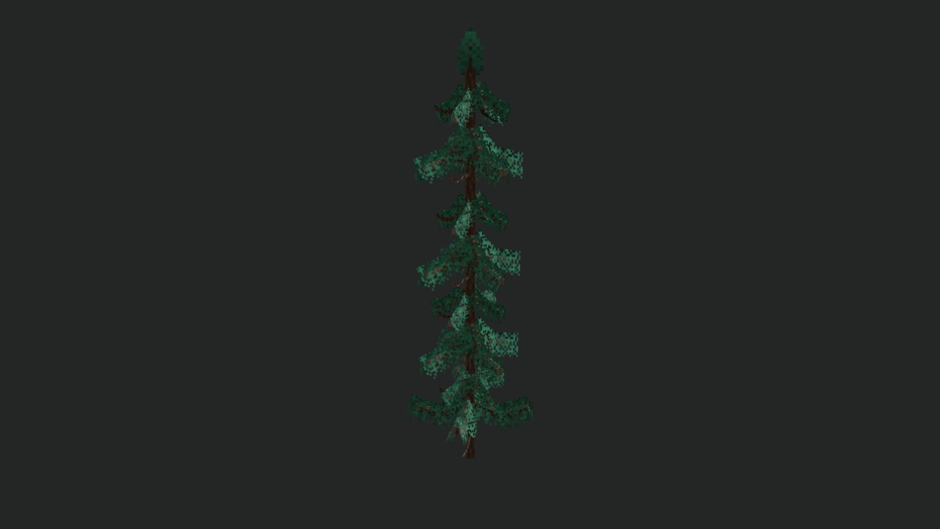 Spruce (.obj model) - 3D model by NeyteenBRA [4933f47] - Sketchfab