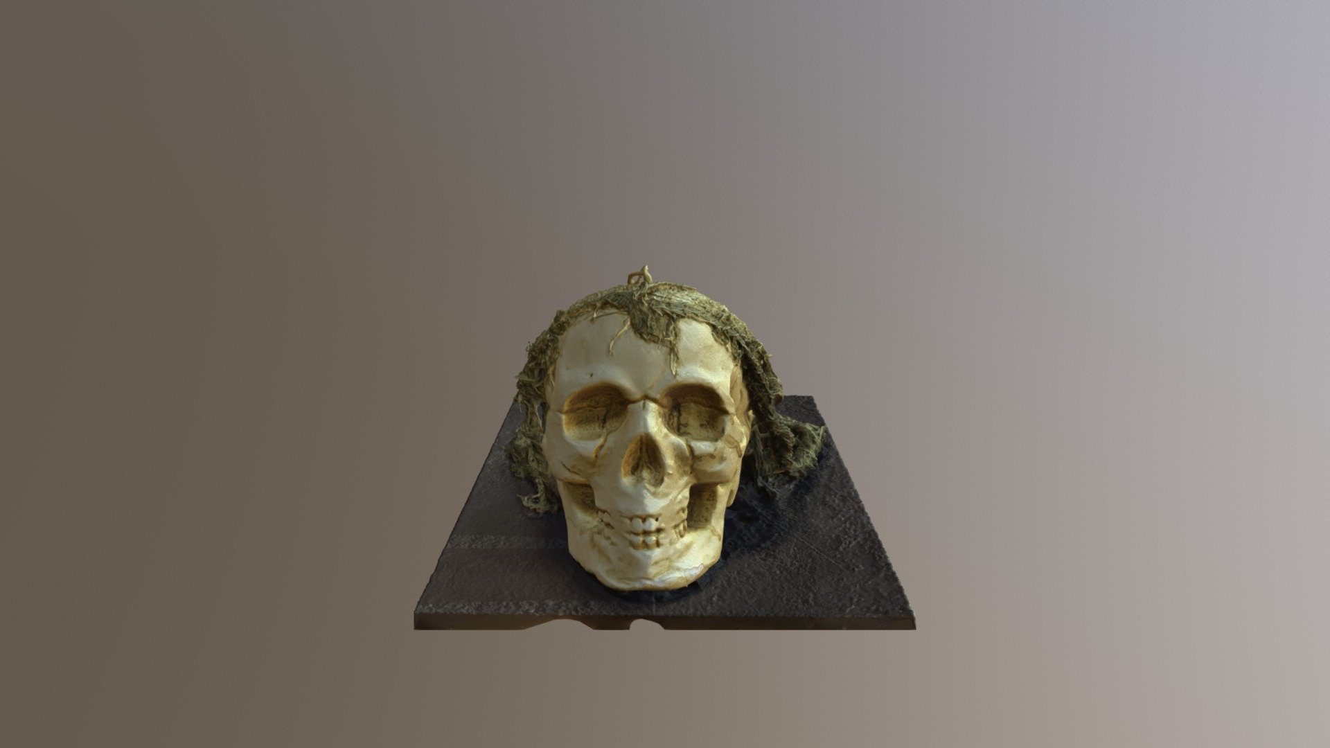 Cherep - 3D model by ilusionist73 [4934b55] - Sketchfab