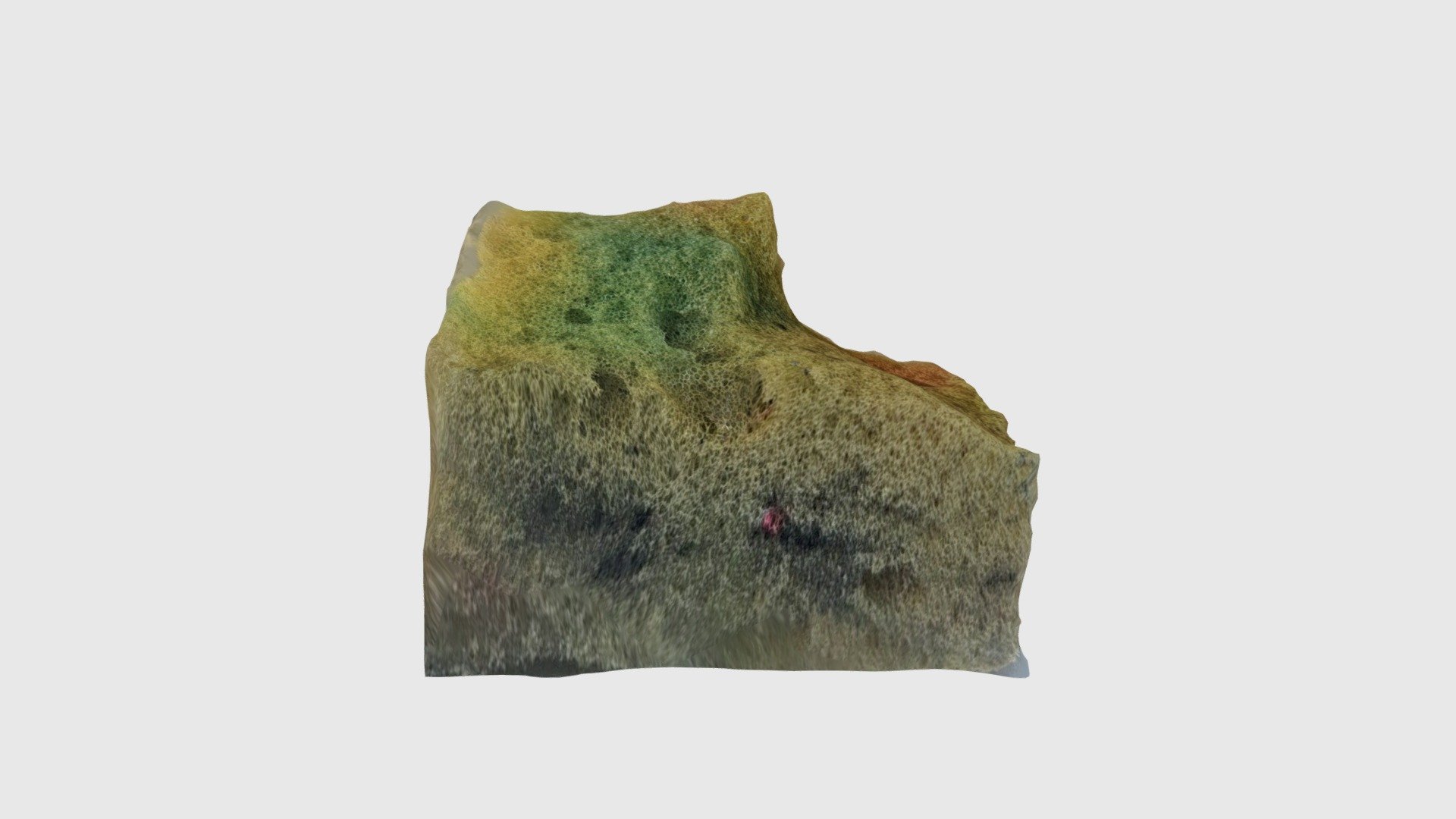 spongy! - Download Free 3D model by rawadsouaid06 [493658b] - Sketchfab