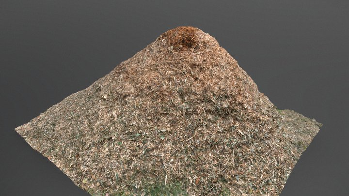 Biomass 3D models - Sketchfab