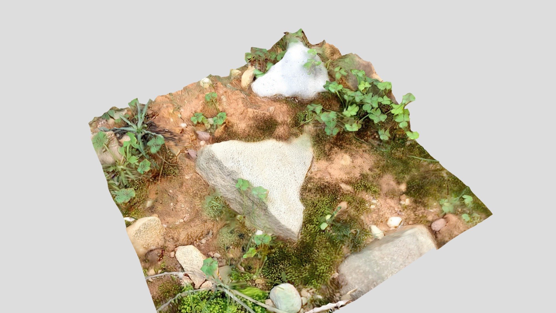 Ground patch with white rocks - Download Free 3D model by skvyrla ...