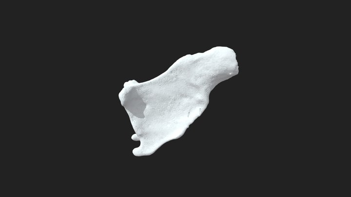 Huhn 3D models - Sketchfab