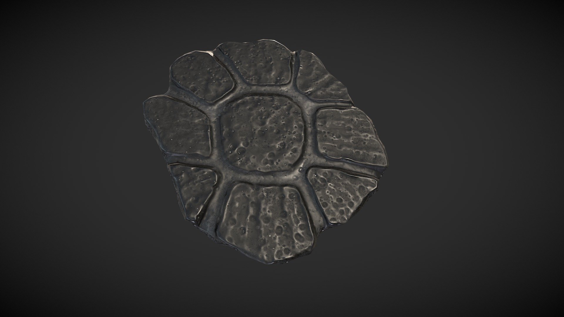 Glyptodon Scute Fossil - Buy Royalty Free 3D model by RidingsFx ...