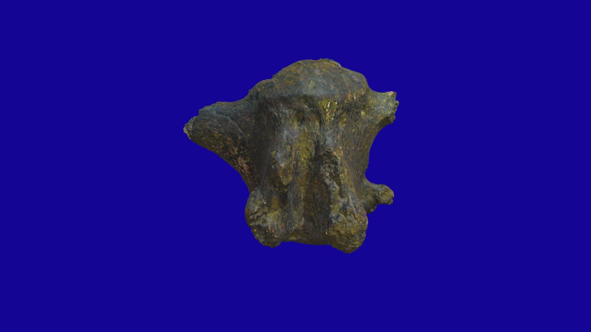 Mastodon Vertebra (VCU_3D_7647) - Download Free 3D model by Virtual ...