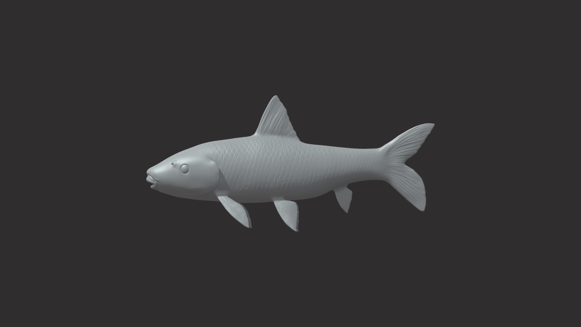 fish_v_2 - 3D model by Kseniia.Lu [4960e13] - Sketchfab