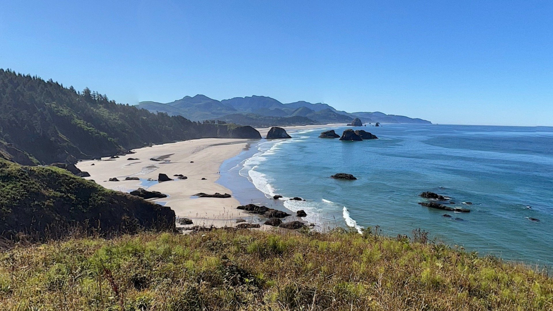Ecola State Park #1 - 3D model by Phil.Devine [496705d] - Sketchfab