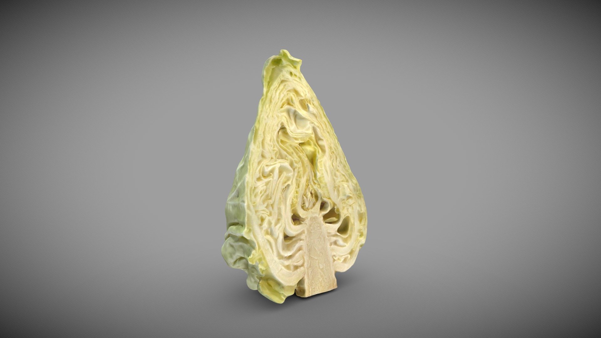 Cabbage in a Half - 3D model by mel-schneider (@cgigraphix) [49680df ...