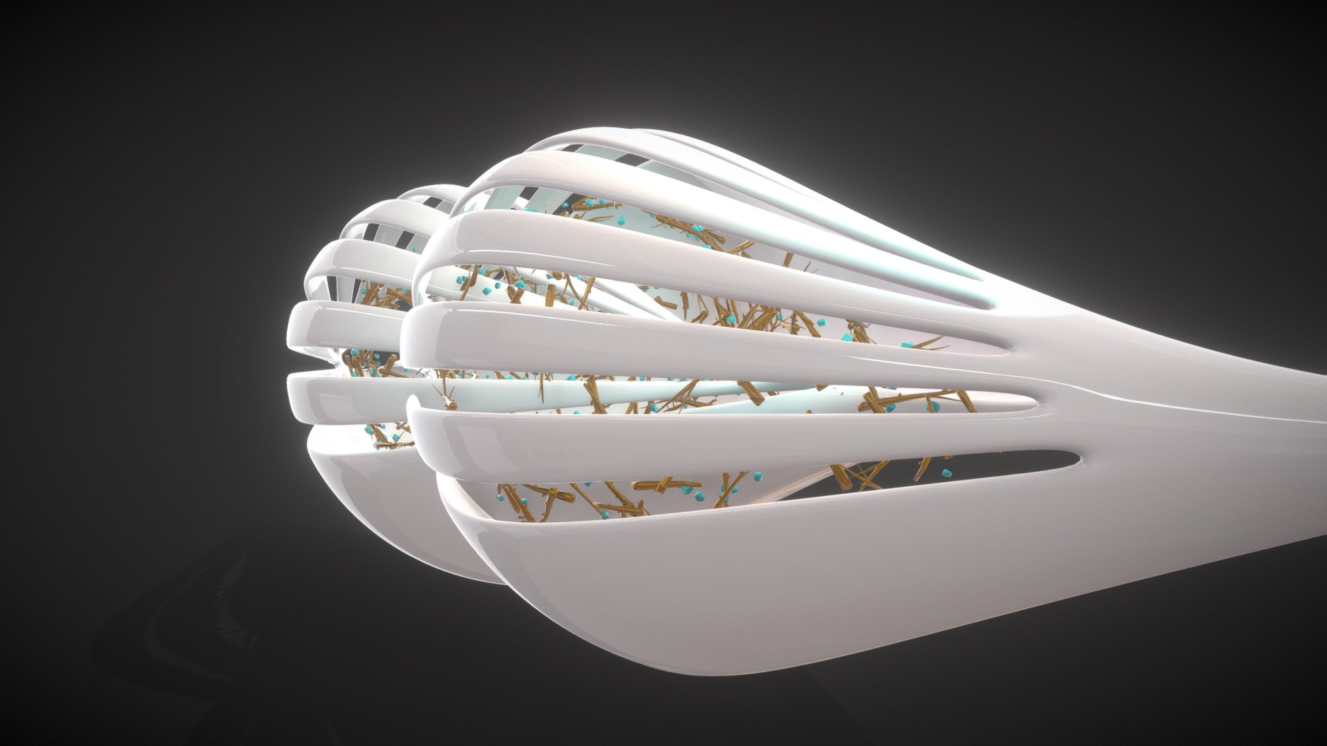 Math XYZ Shell 🦐 - Download Free 3D model by smice [4977562] - Sketchfab