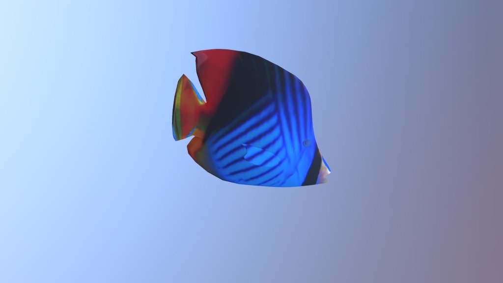 Fishy Fishy - Download Free 3D model by pinkie [497d040] - Sketchfab