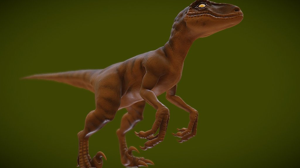 Raptor - 3D model by gokcenyuksek [4983bf8] - Sketchfab