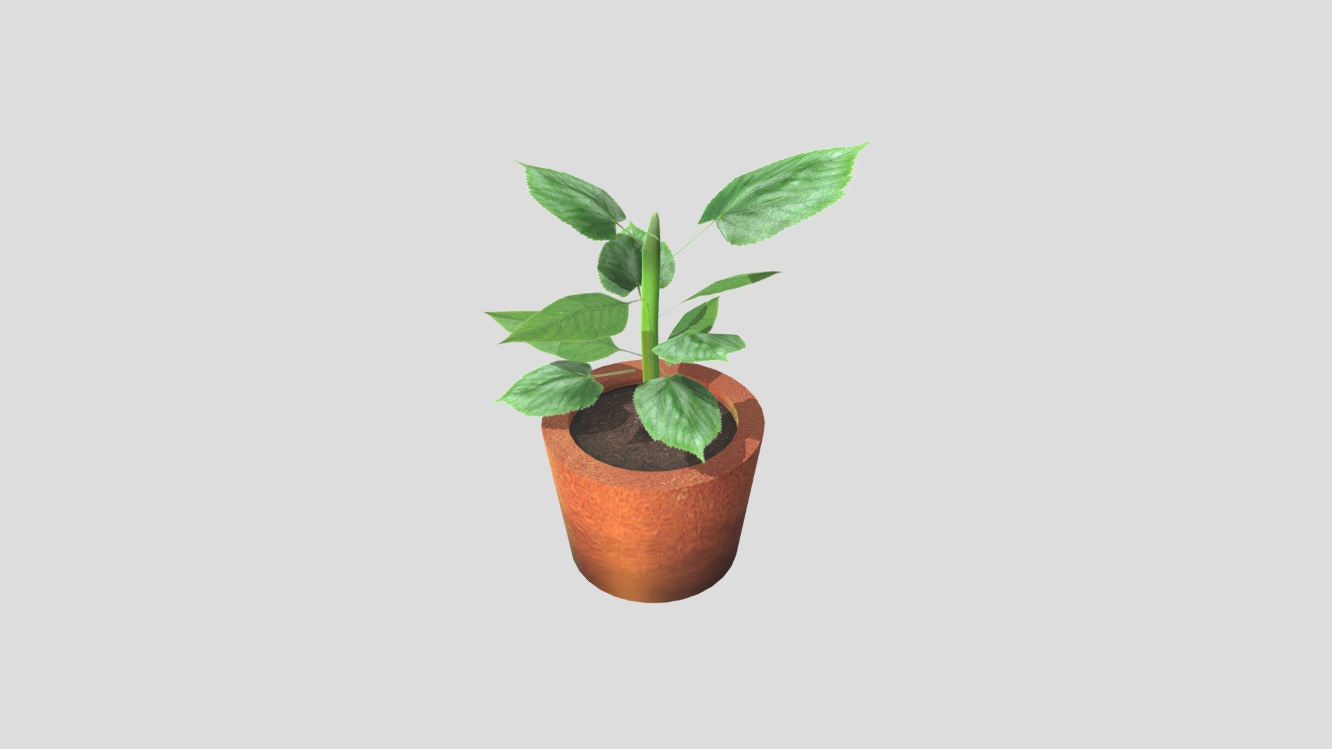 Plant with textures - 3D model by catnip606 [49857bc] - Sketchfab