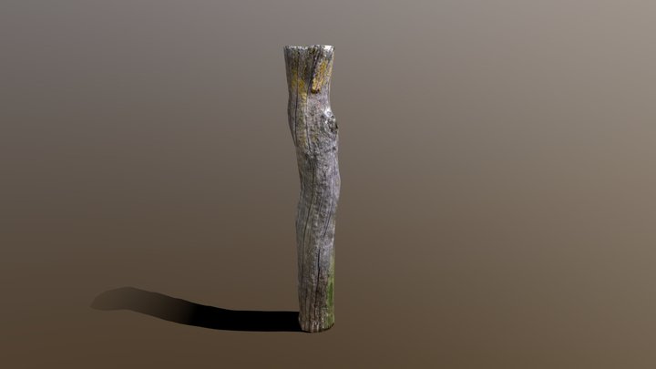 Stake 3D models - Sketchfab