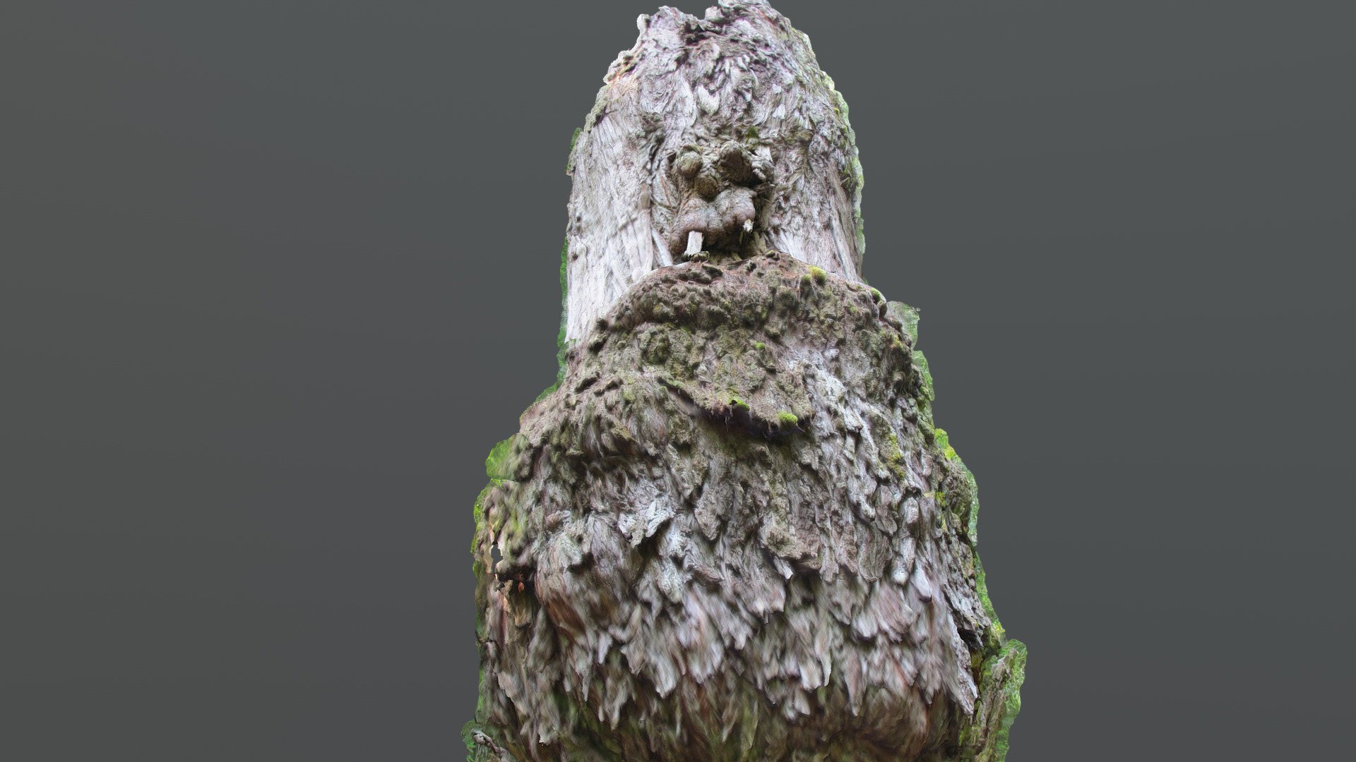 Redwood Forest Face - 3D model by John Toeppen (@toeppen) [4991d3f ...