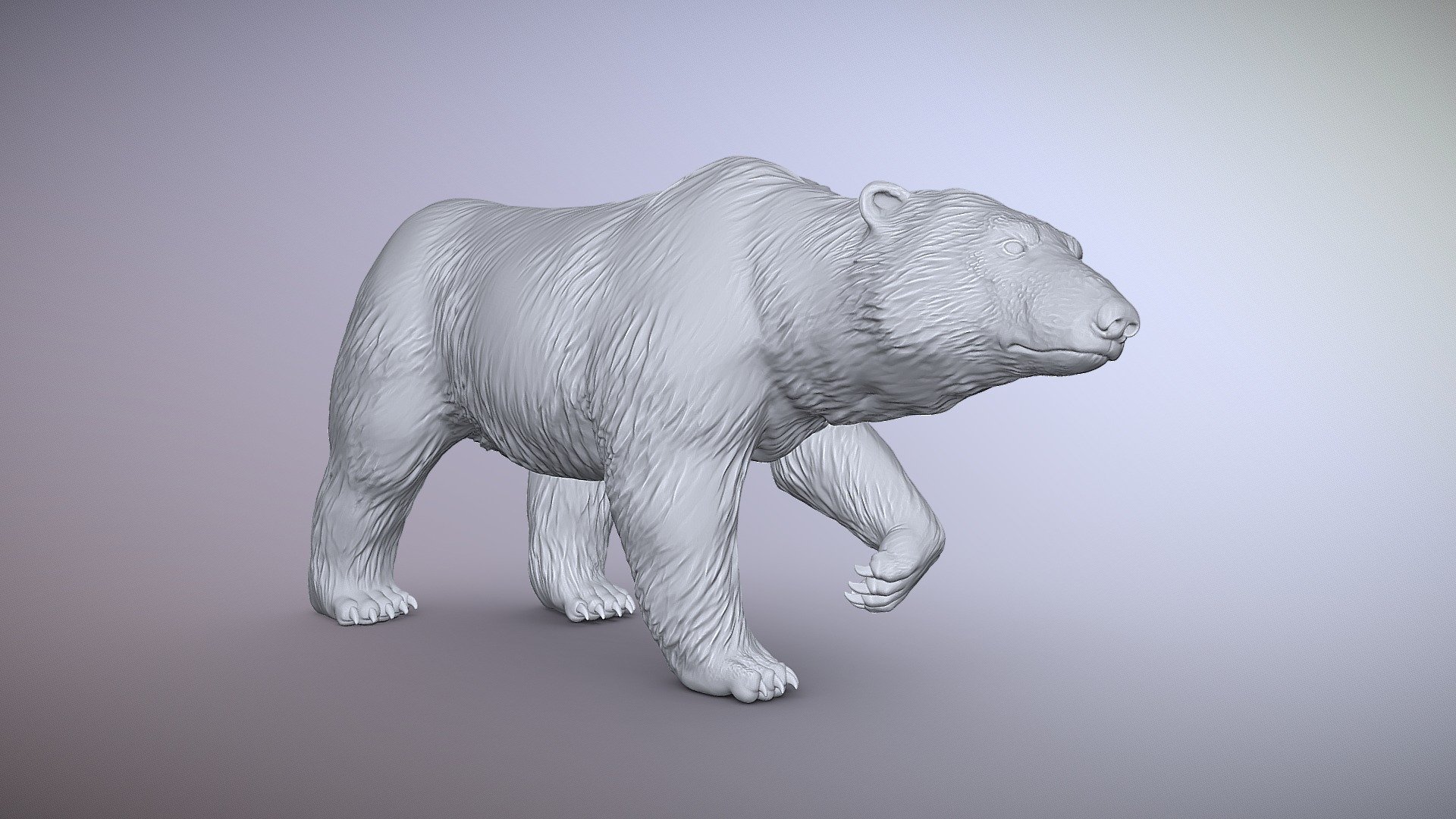 Polar Bear 3d Print Model - Buy Royalty Free 3D model by ...