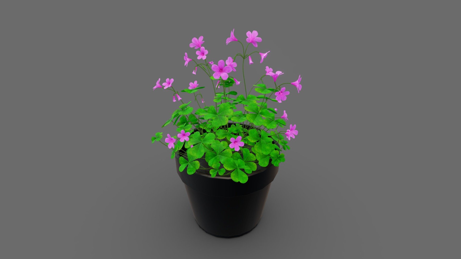 Clover - 3D model by GGGP (@gggp999) [4994807] - Sketchfab