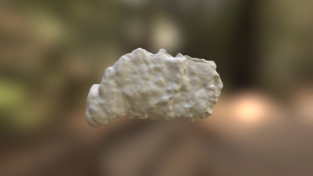Chicken Nugget - Download Free 3D model by yuekaim [499af27] - Sketchfab
