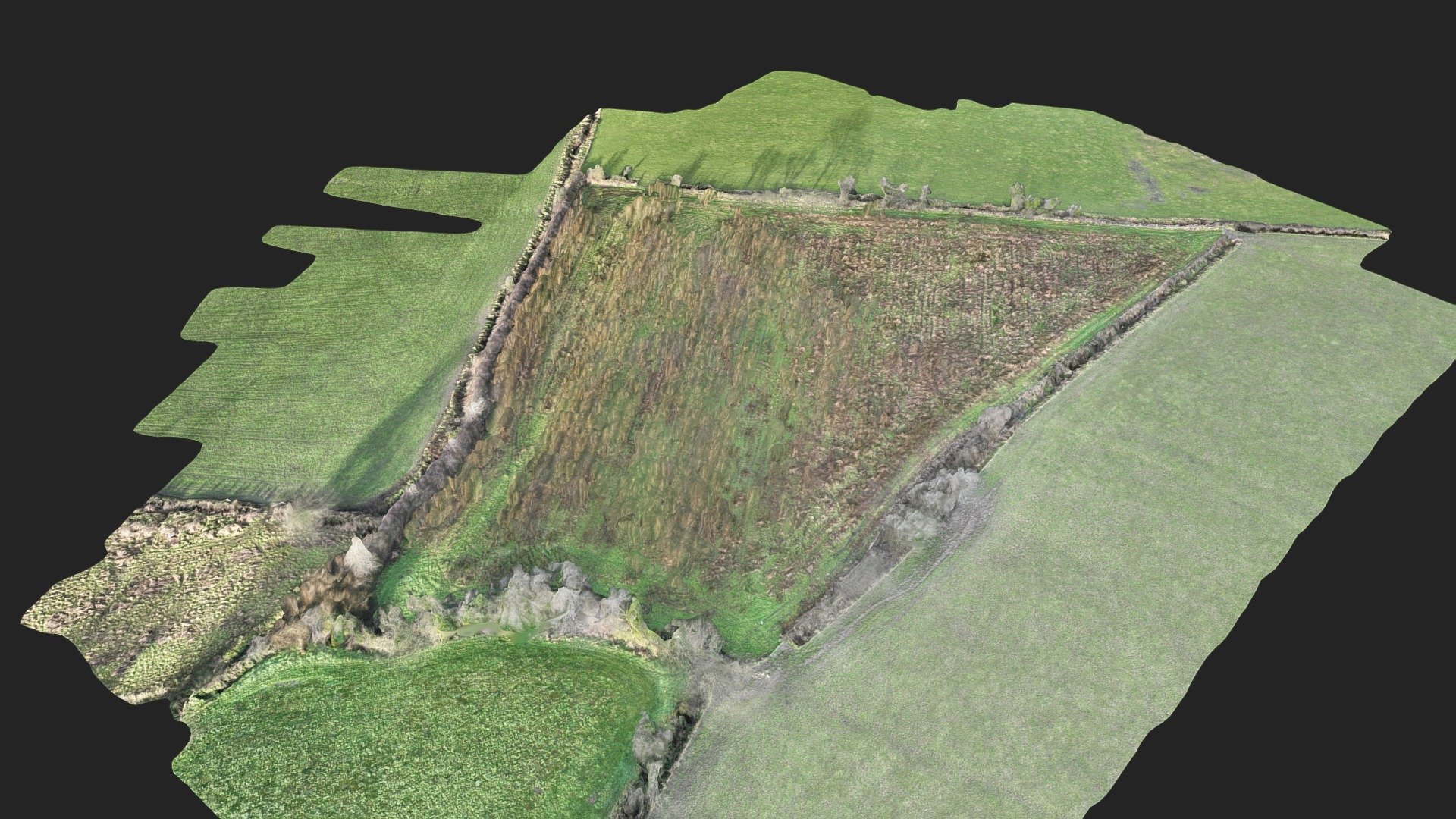 Cavanagrow Williow - 3D model by Dave Rogers (@daverogers) [49a0b8a ...