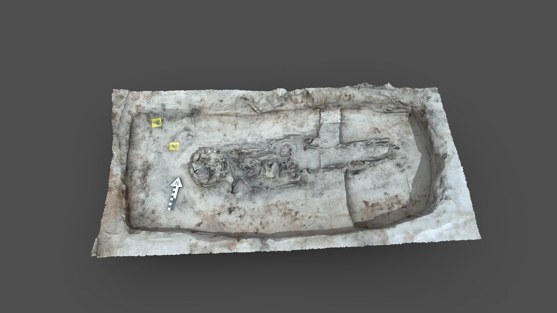 2023 BRB BEF 34 Grab - 3D model by praehist3d [49a2ad8] - Sketchfab