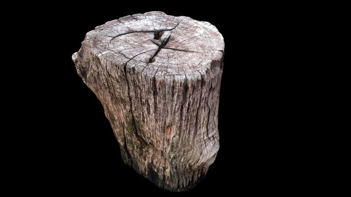 Stump 3D models - Sketchfab