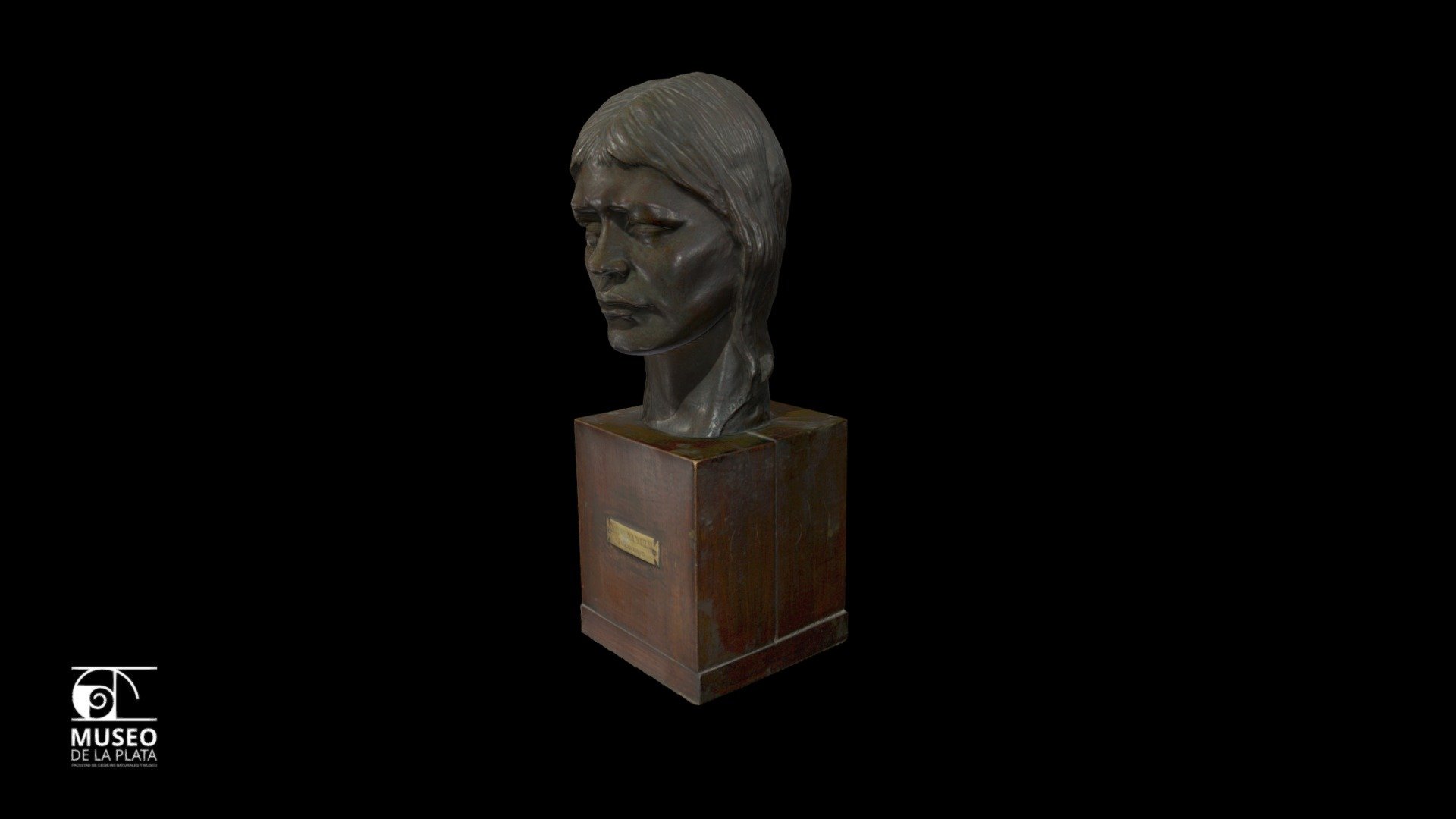 India mataca norteña - 3D model by Museo de La Plata, Argentina ...