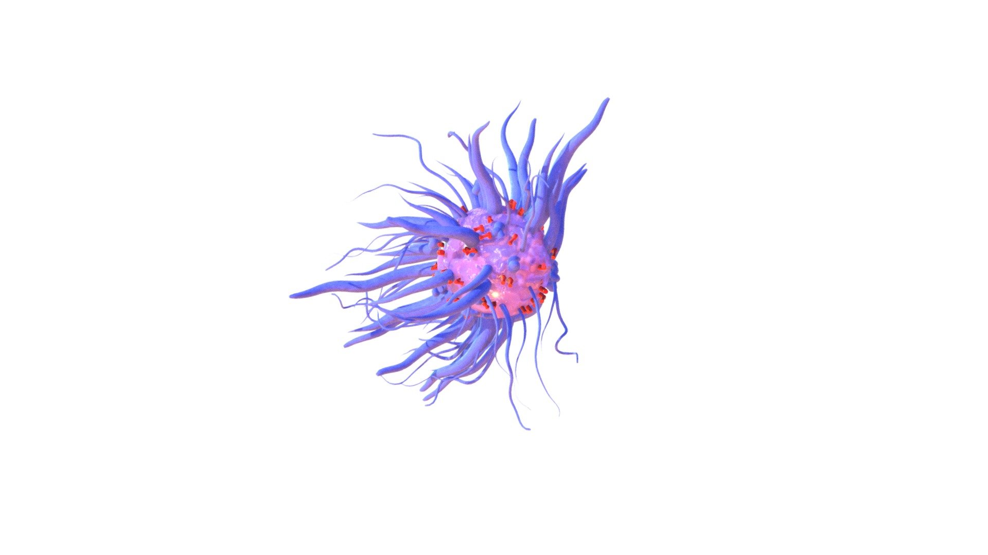 Dendritic Cell - 3D model by LHOOQ (@mekkibrink) [49aaabe] - Sketchfab