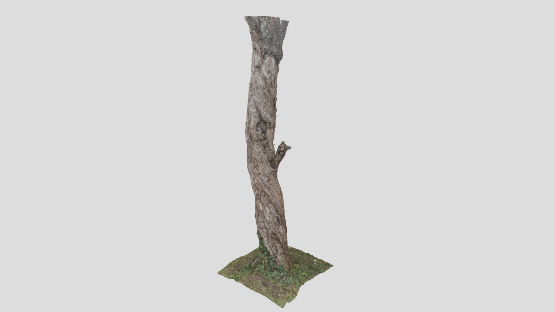 Withered tree trunk - Buy Royalty Free 3D model by Kulizayo [49ab88b ...