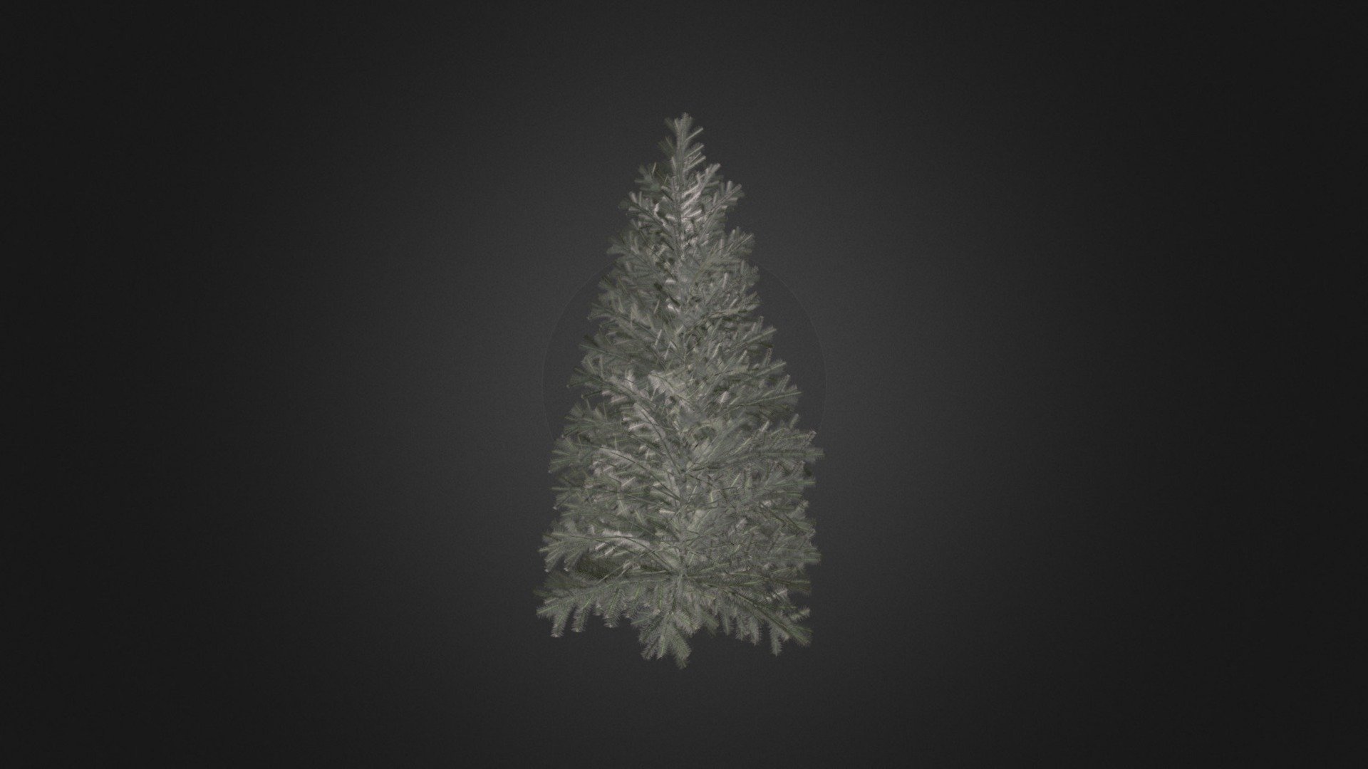 Alpine Fir 25 - Buy Royalty Free 3D model by cgaxis [49b14ad ...