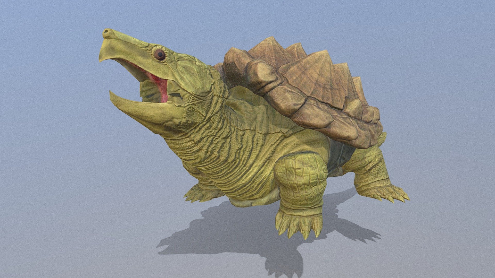 Turtle Island TURTLE ATTACK ROAR Fbx Pbr - 3D model by Curly Clown ...