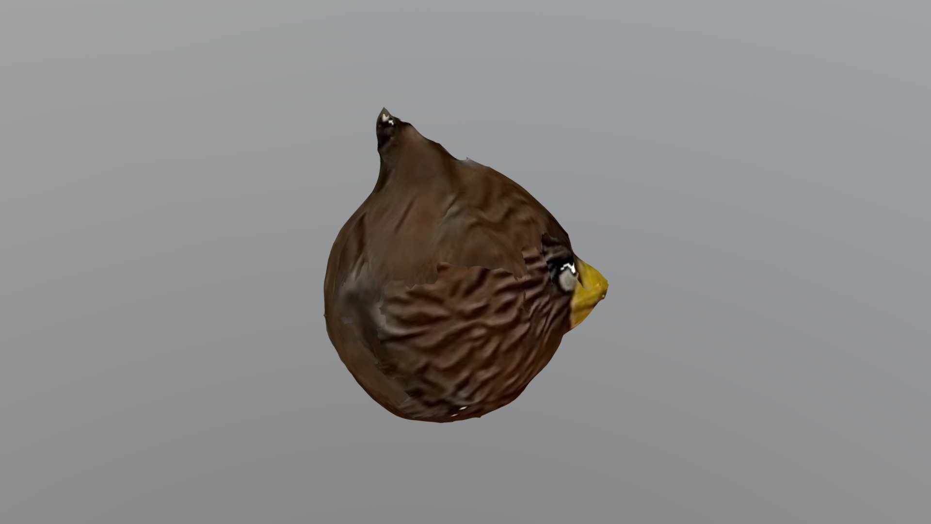 Angry Chewy - 3D model by manu1574 [49b912d] - Sketchfab