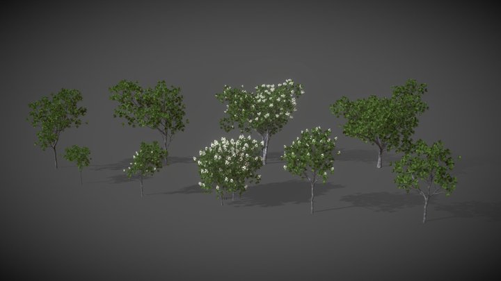 Fruit-tree 3D models - Sketchfab