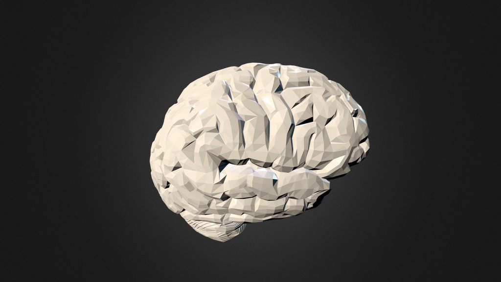 3d brain - A 3D model collection by lizz3 - Sketchfab