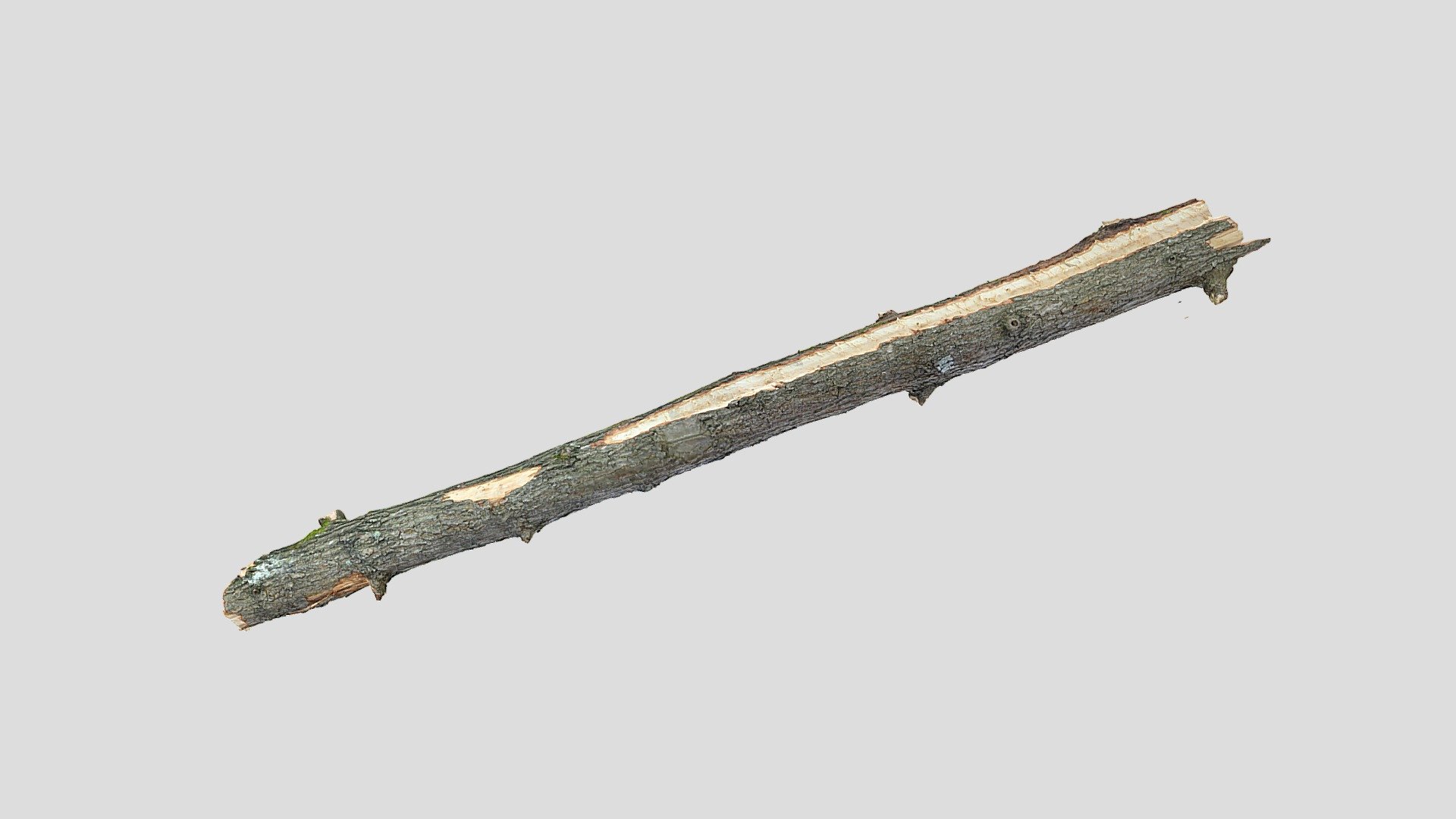Adze - 3D model by FloGilliard [49c1a7c] - Sketchfab