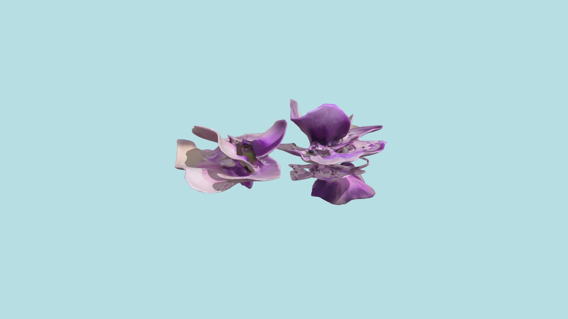 Collection of realistic digital flowers - Download Free 3D model by ...