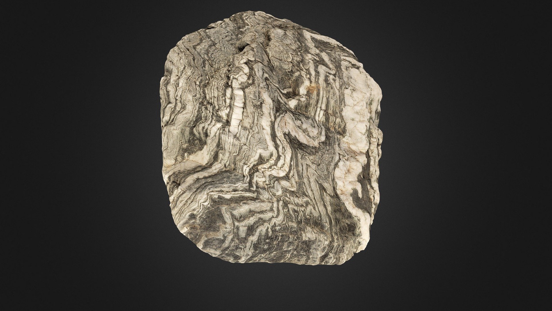 Ptygmatic folds in Haast Schist - 3D model by Nichole Moerhuis (UBC ...