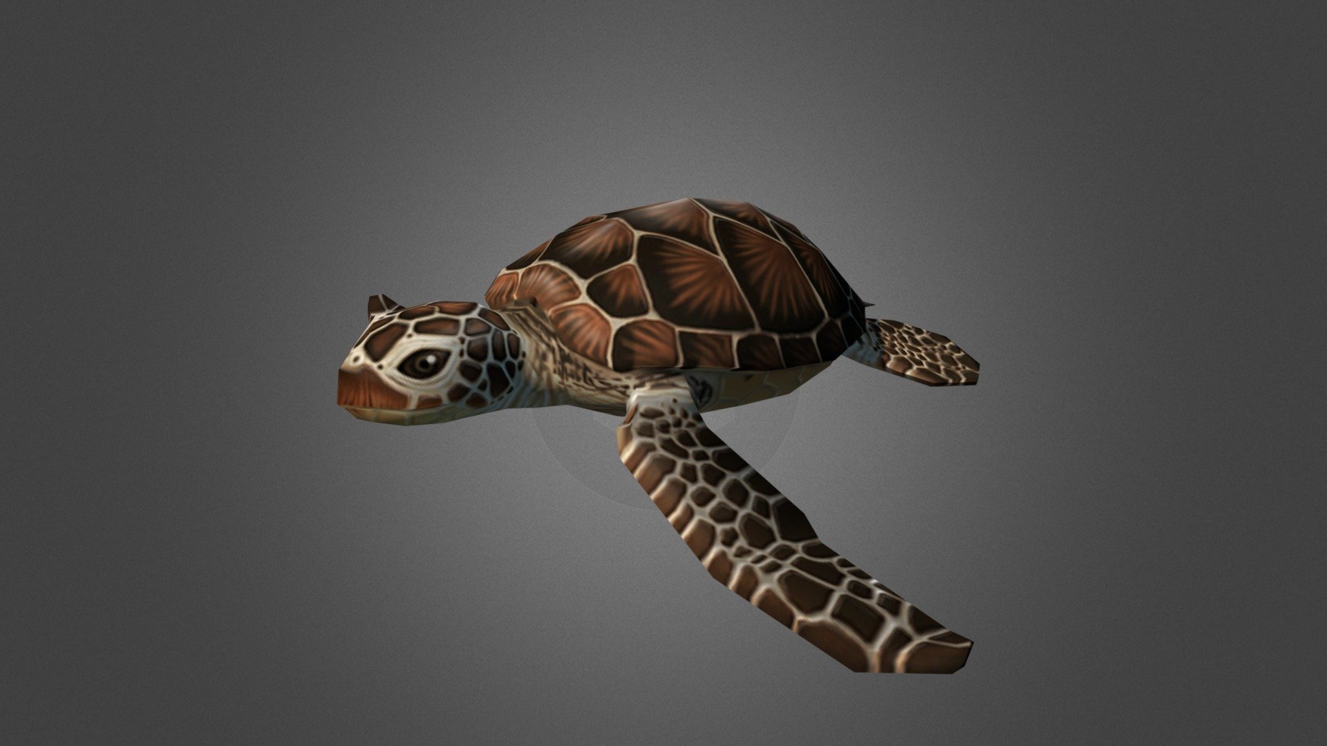 Green Sea Turtle - 3D model by 3lbgames [49c82c6] - Sketchfab