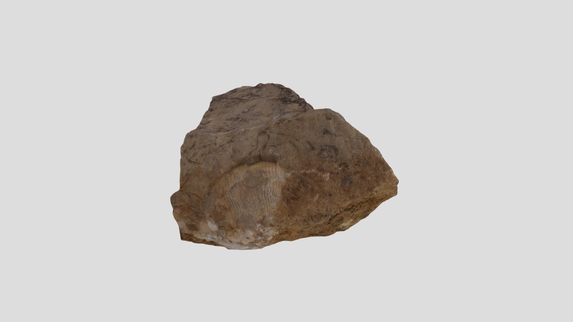 Sedimentary 11 - Download Free 3D model by lobue222 [49cfaff] - Sketchfab