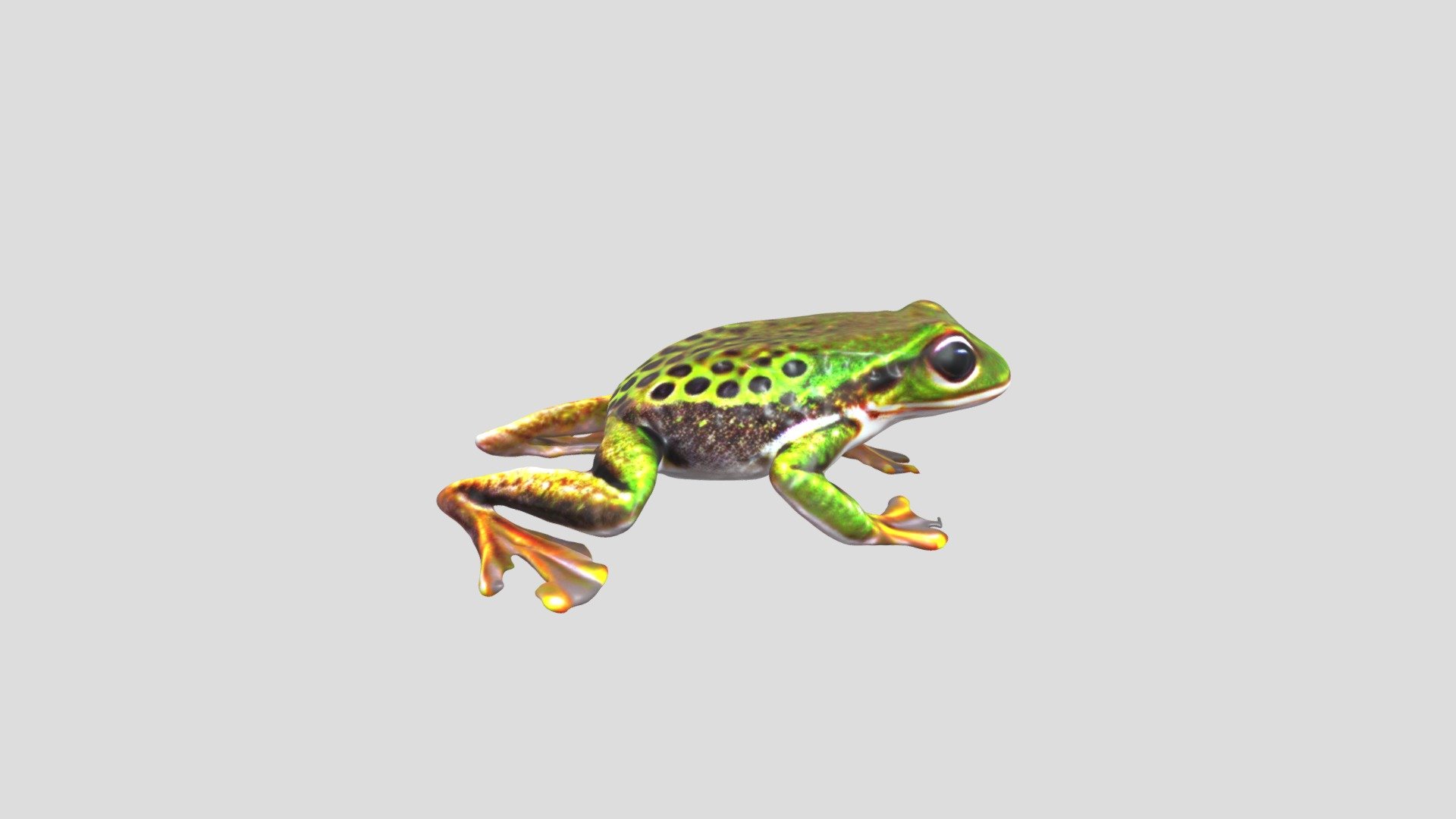 b09f29d794ef_tiny_frog - Download Free 3D model by lucyvm [49d5b43 ...
