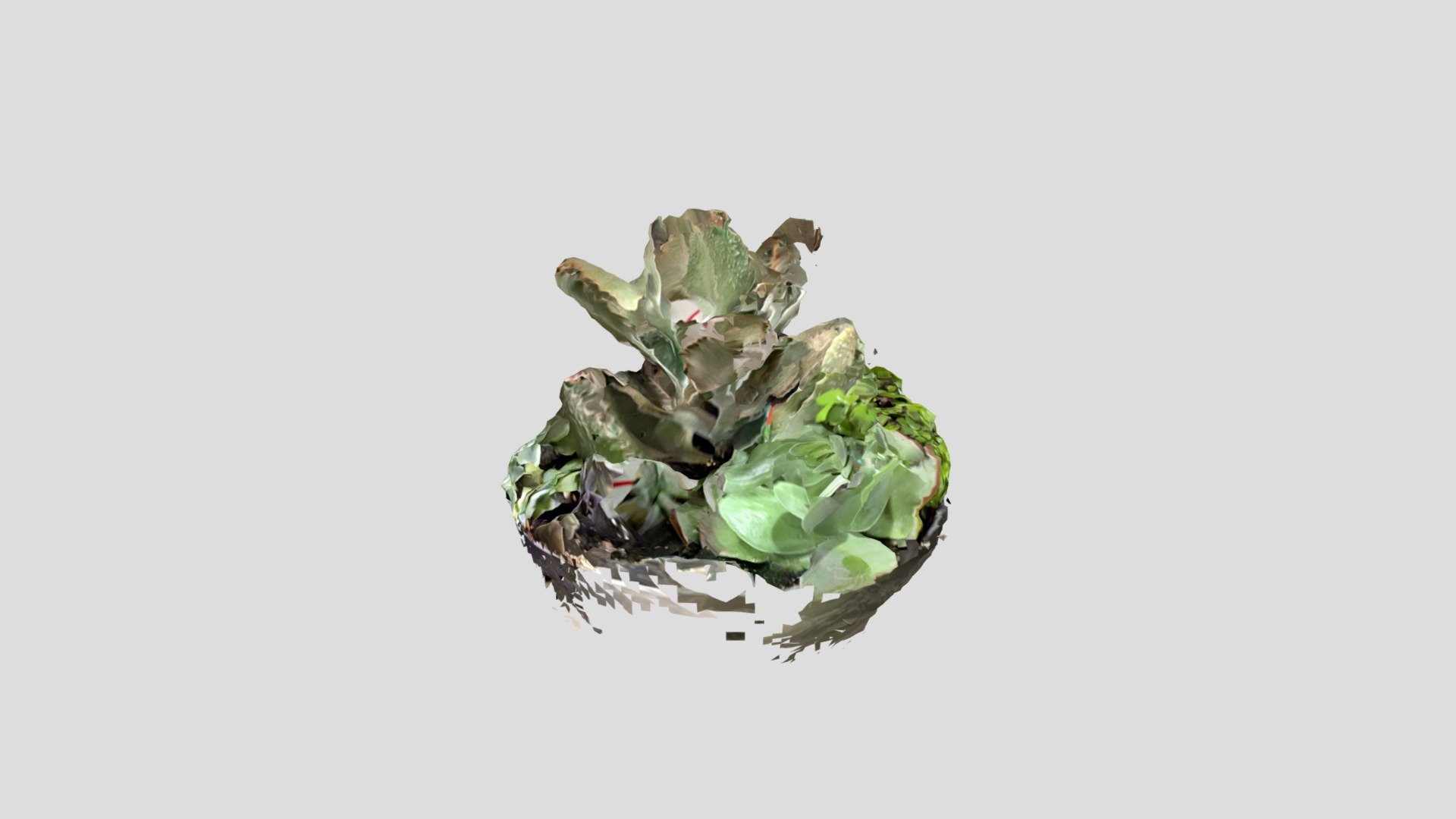 Untitled Scan - Download Free 3D model by Acidance [49d7947] - Sketchfab
